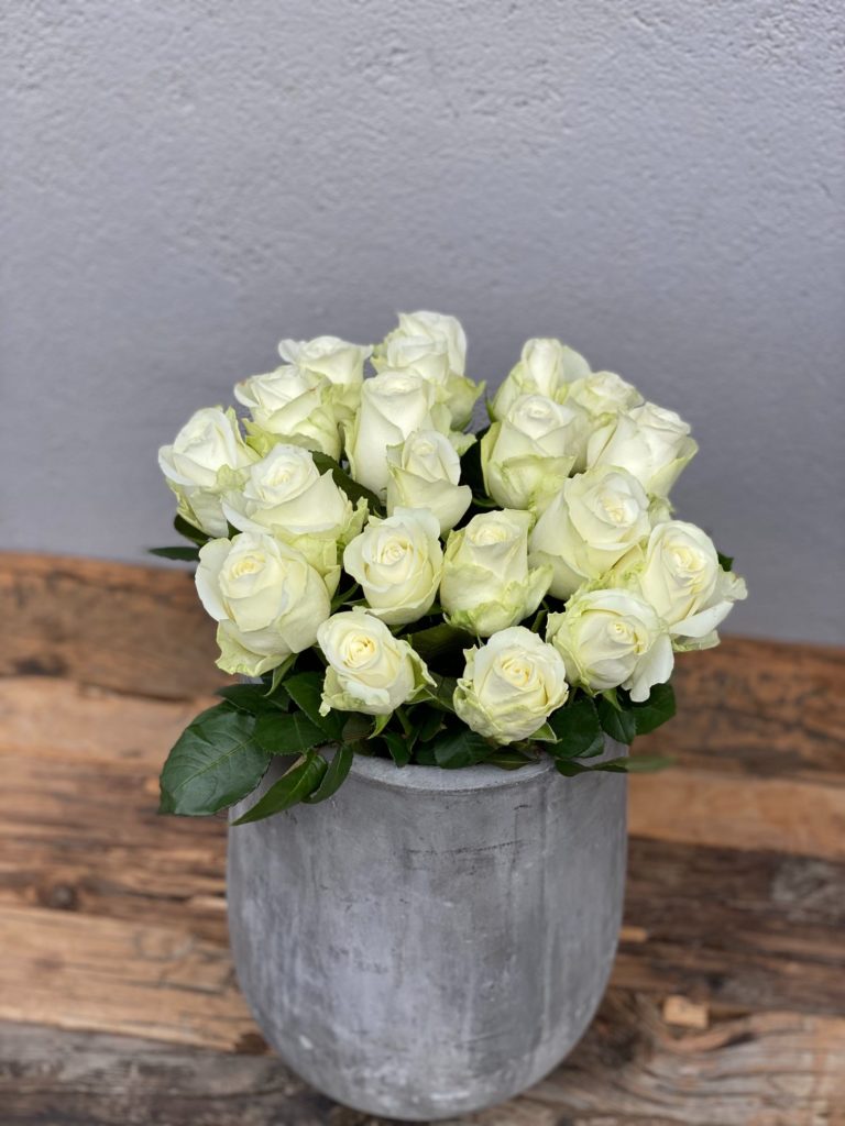 Hvite roser - Blomsteroasen