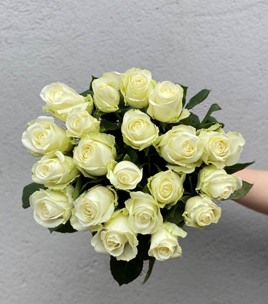 Hvite roser - Blomsteroasen