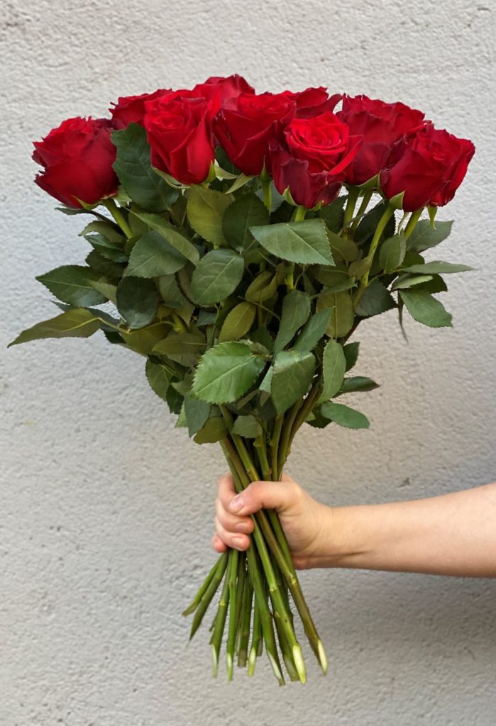 Røde roser - Blomster Oasen